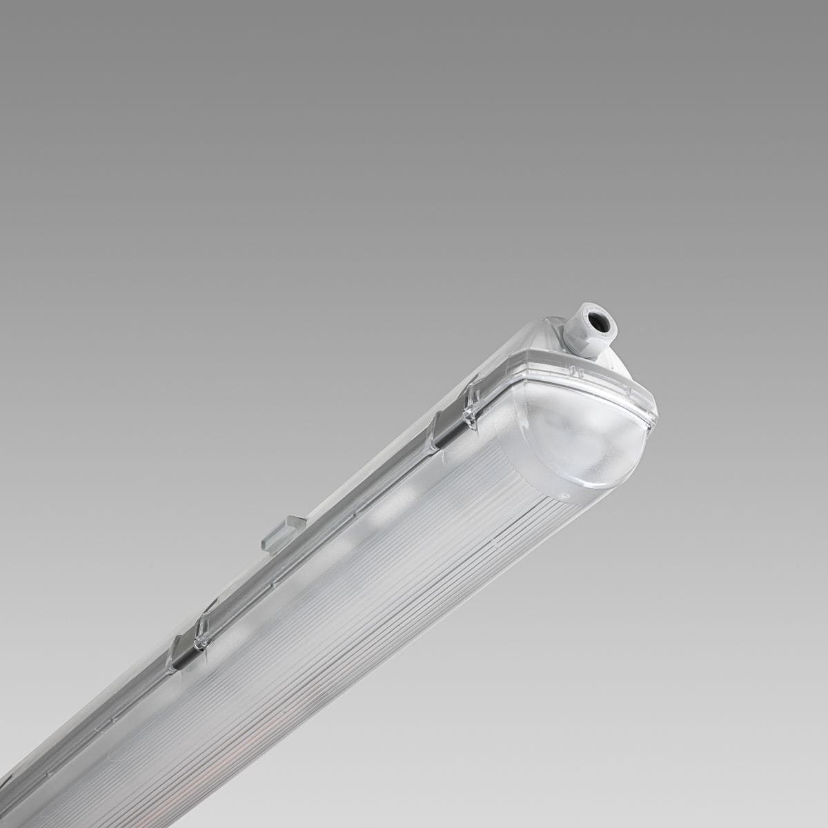 Luminaria suspendida - SPLASH CLEAR - REGENT LIGHTING - LED / lineal / IP66