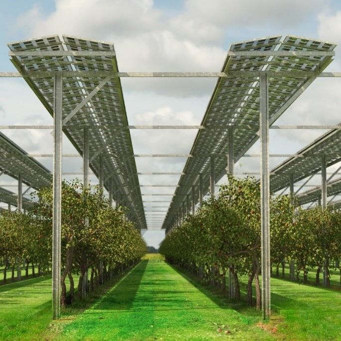 Estructura de soporte en suelo - FlexAgri Fruit - voestalpine Sadef nv ...