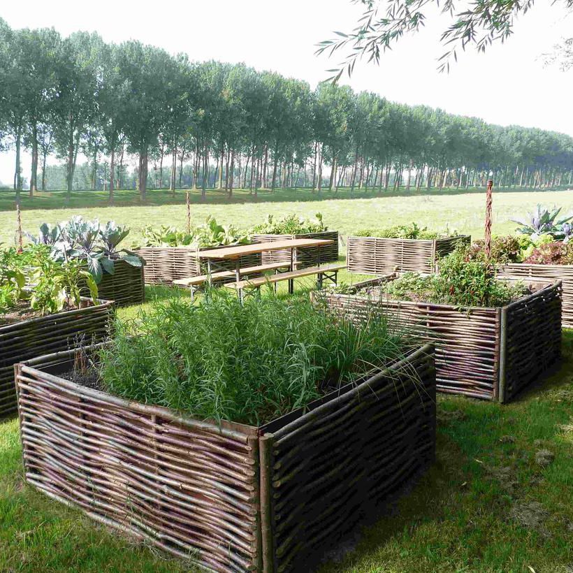 Jardinera para huerto de madera - ECOWOOD - FOREST AVENUE - para uso ...