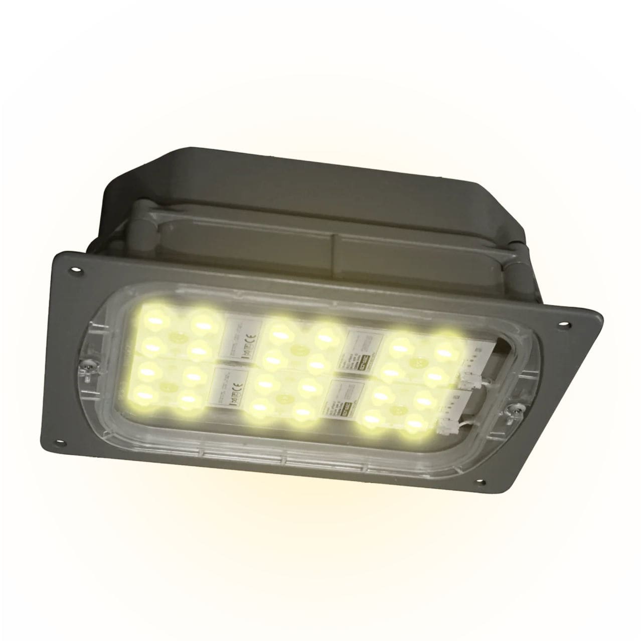 Módulo de iluminación LED - Nixea 2 - Eclatec