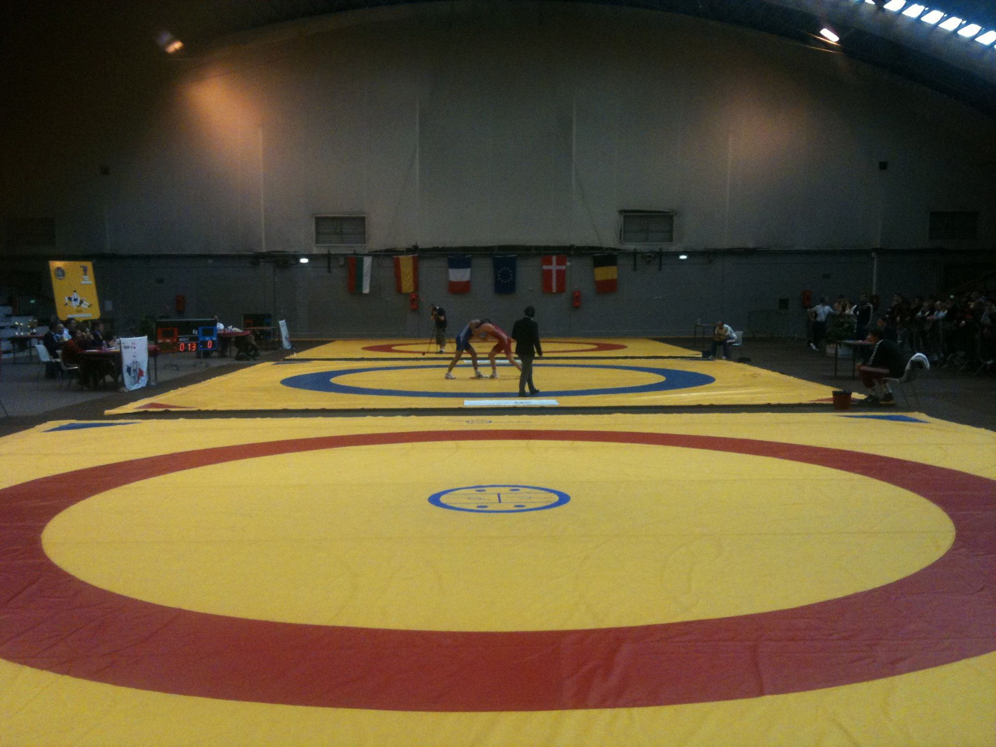 Tapiz de lucha - LUT-CLU.1 - Modugame - MG Sport