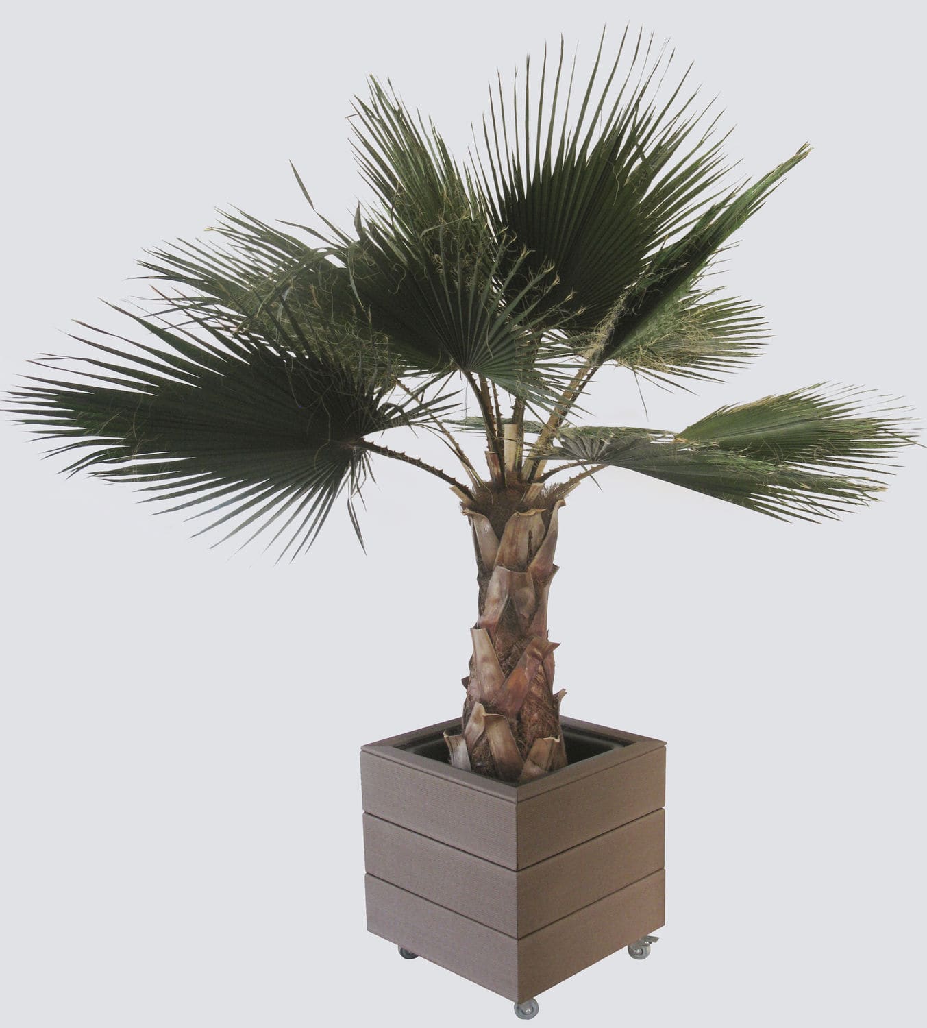 Florero de diseño - Tecnodeck - madera / de aluminio / a medida