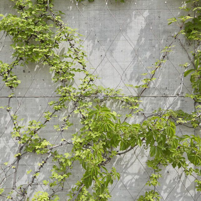 Malla metálica de acero inoxidable - GREENING - JAKOB FRANCE - para ...