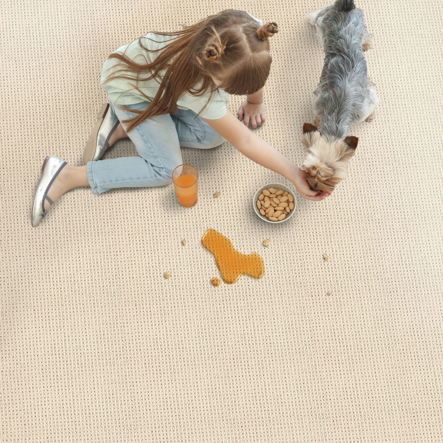 Moqueta tufting - MALORY - Stanton Carpet Corporation - de seda / para ...