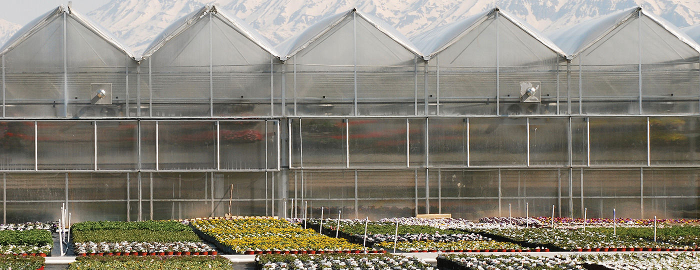 Invernadero para el sector profesional - KOPRON - de jardinería ...