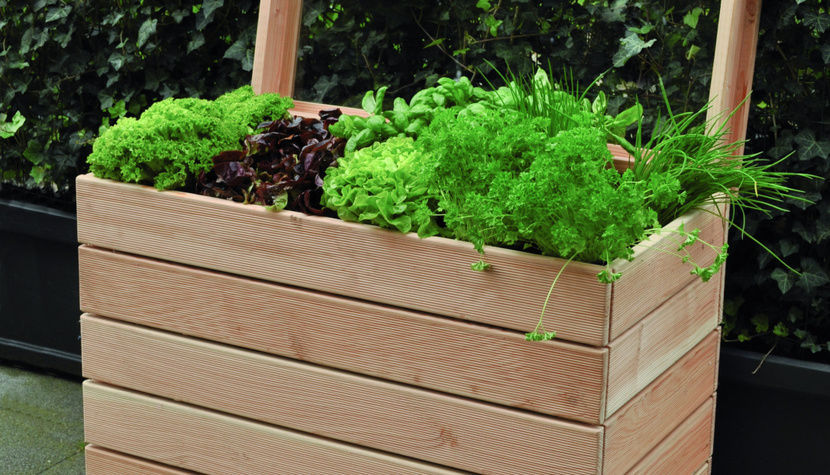 Jardinera para huerto de madera - ante-Gruppe - para uso residencial