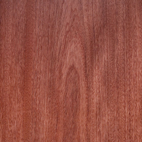 Enchapado de madera - SAPELE - SCHORN&GROH - ecoetiqueta FSC