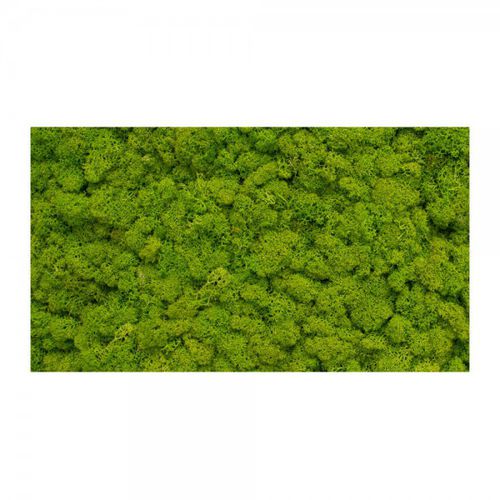 Muro vegetal estabilizado - MNLM-605-16 - green Habitat - biológico ...